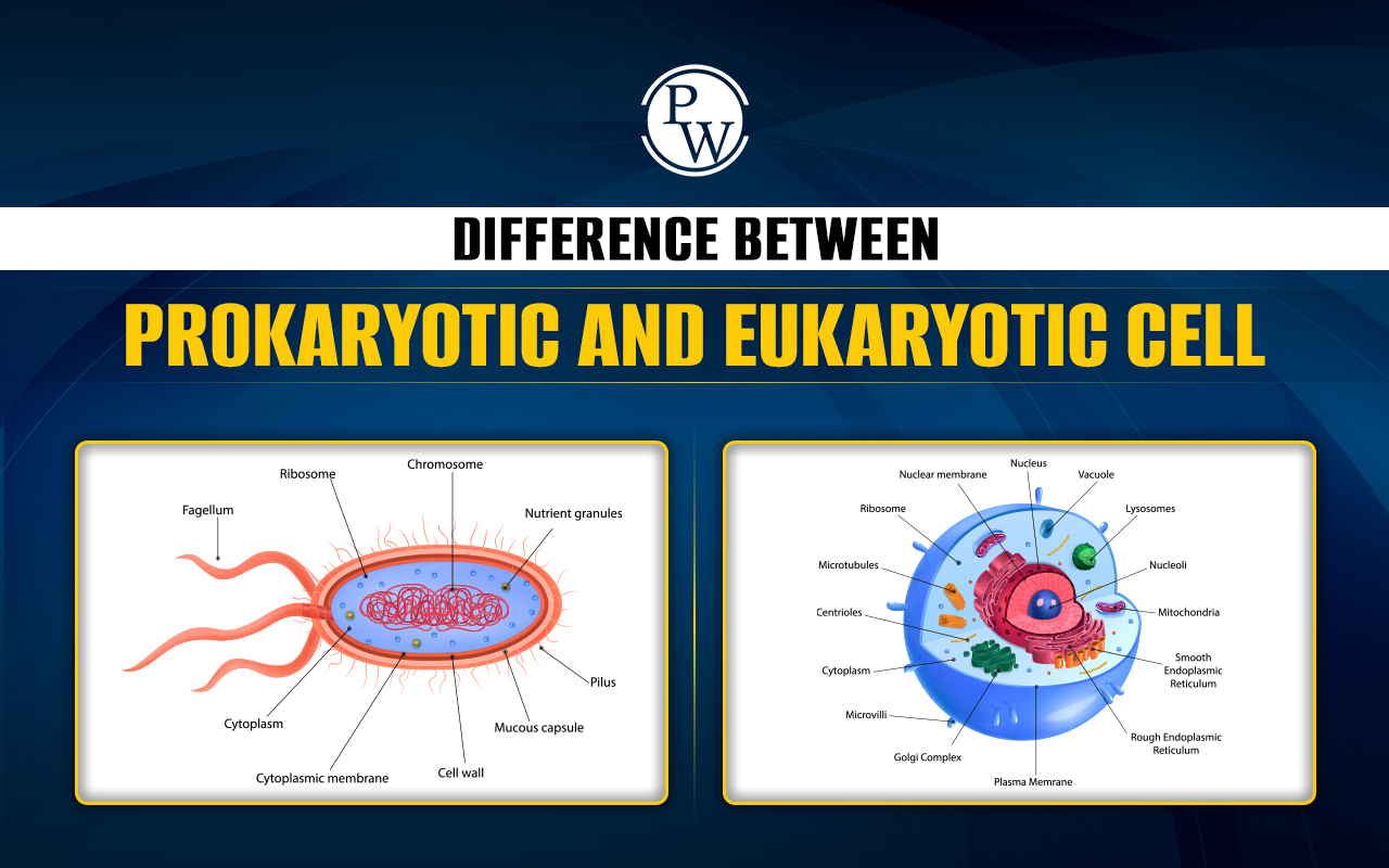 Difference Between Prokaryotic and Eukaryotic Cells with Examples Difference Between Prokaryotic and Eukaryotic Cells with Examples