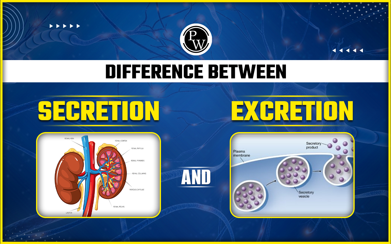 Difference Between Secretion And Excretion Types And Pathways