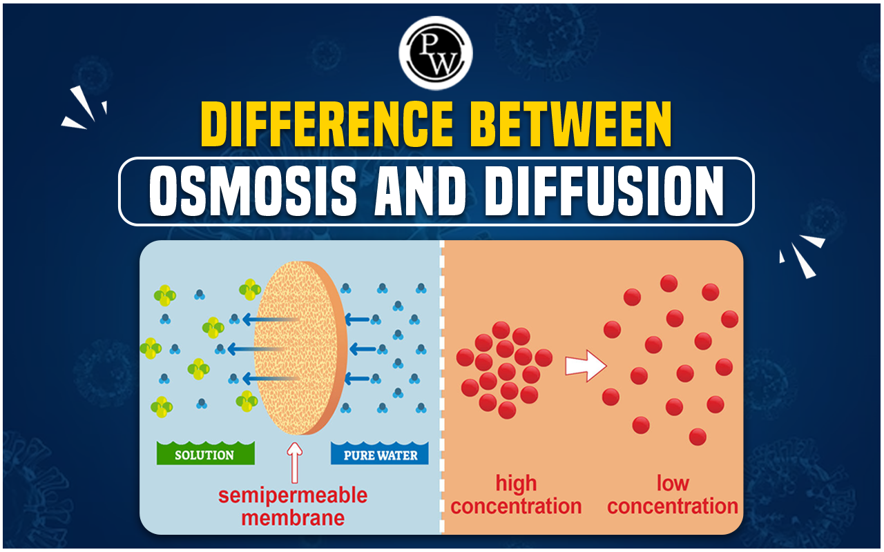Difference Between Osmosis and Diffusion with Examples Difference Between Osmosis and Diffusion with Examples