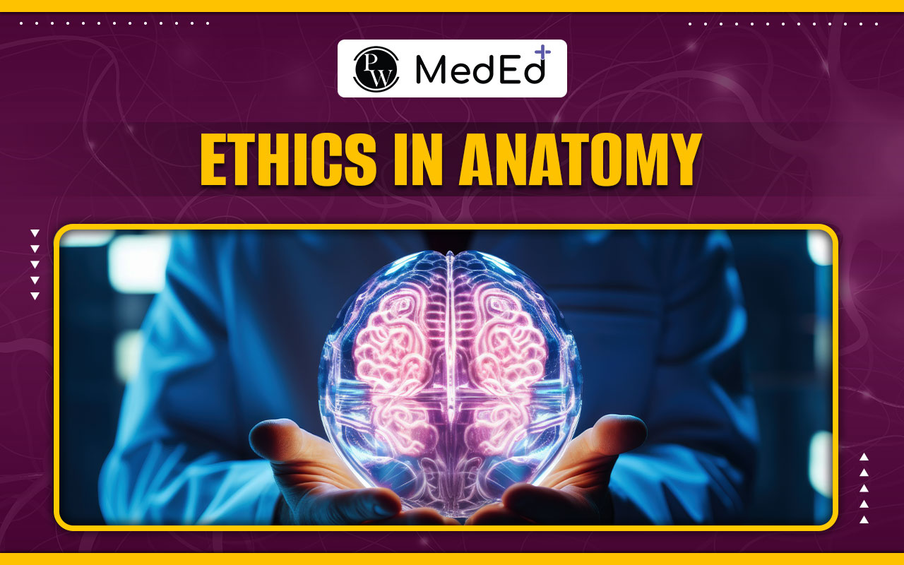 Ethics in Anatomy, The Moral Dimension of Medical Education
