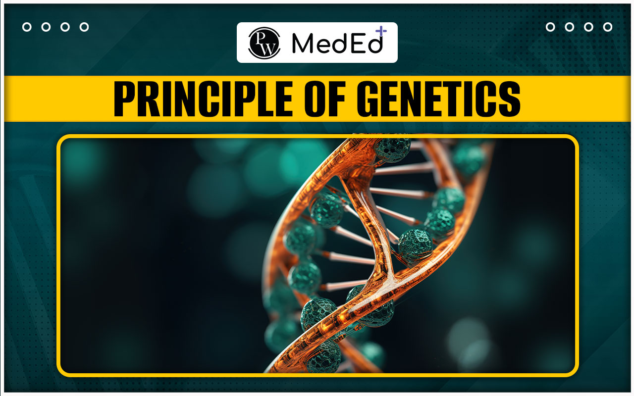 Principle of genetics, chromosomal aberrations and clinical genetics