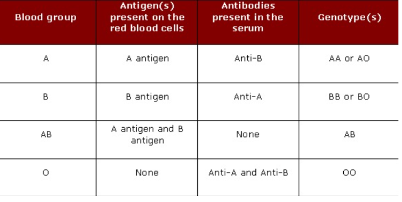 ABO Blood Group And Rhesus System