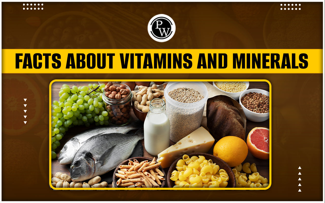 Minerals In Food Facts Minerals Chart Minerals Food List Nutrition