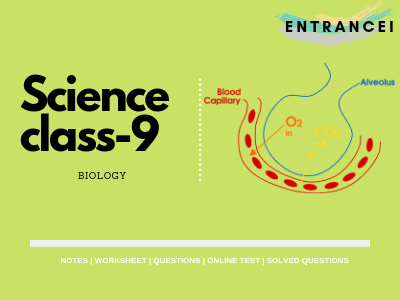 Class 9 Biology