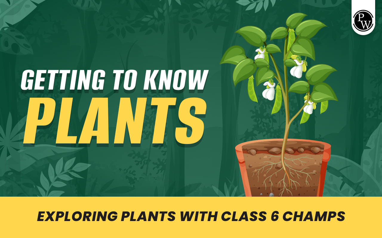 Getting To Know plants: Exploring Plants with Class 6 Champs