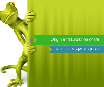 Theories of Origin of Life