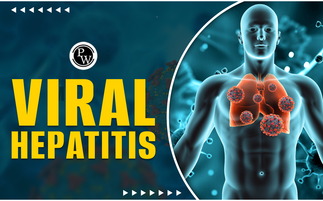Viral Hepatitis For NEET PG, Types, Causes, Diagnosis & More