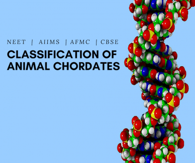 Super Class : Pisces