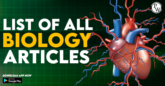 Body Fluids And Circulation