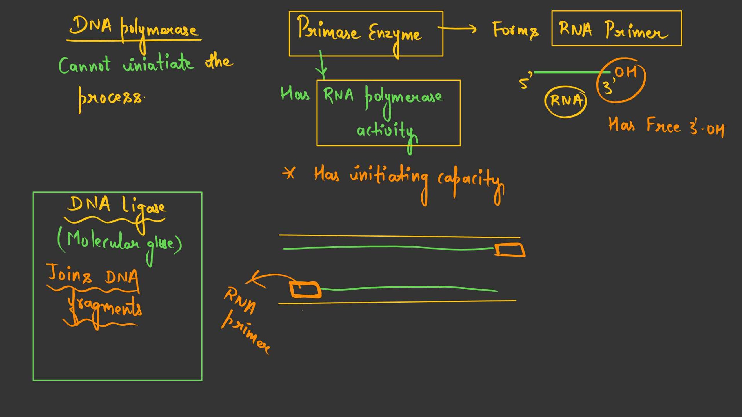Molecular Basis of Inheritance NEET Notes 2025 PDF Download