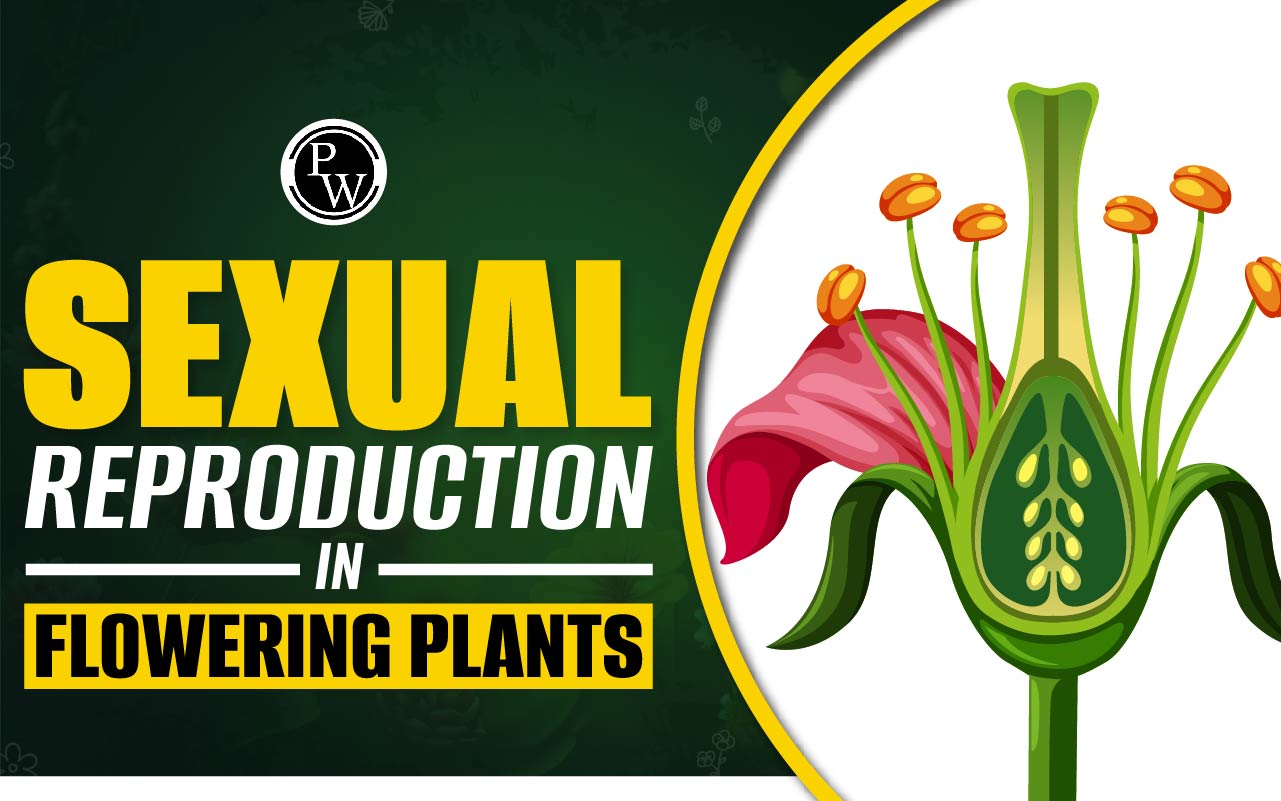 Sexual Reproduction in Flowering Plants, Structure of Flower Sexual Reproduction in Flowering Plants, Structure of Flower