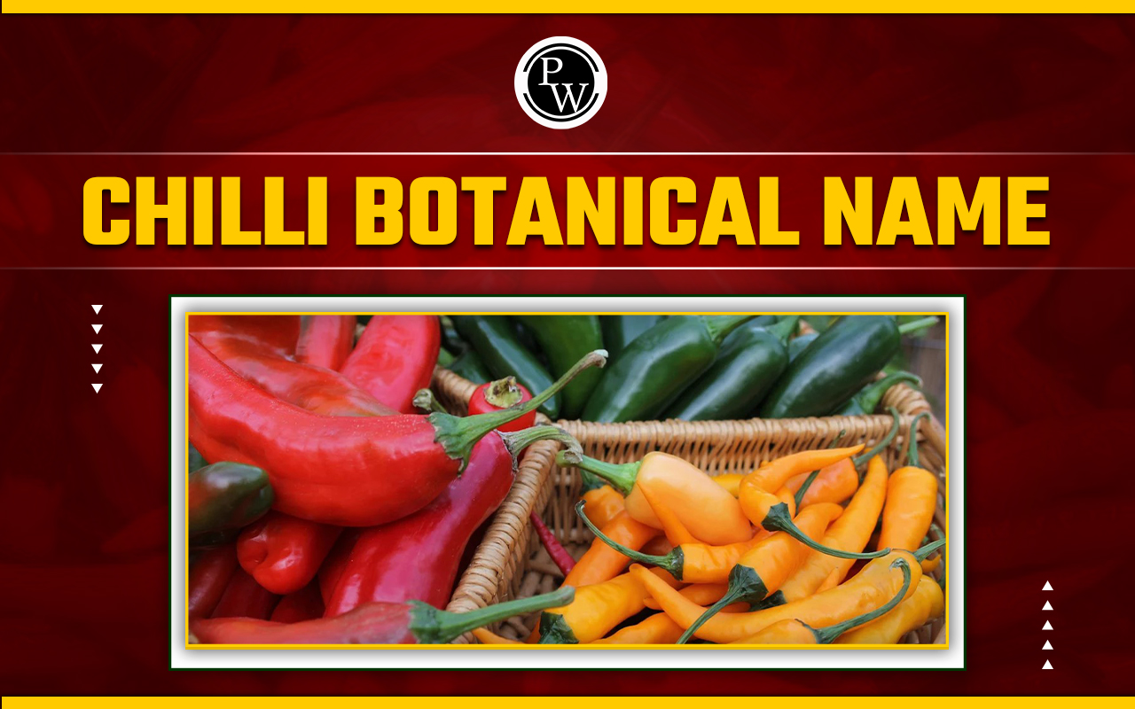Chilli Botanical Name - History, Nutritional Value, Medicinal Properties